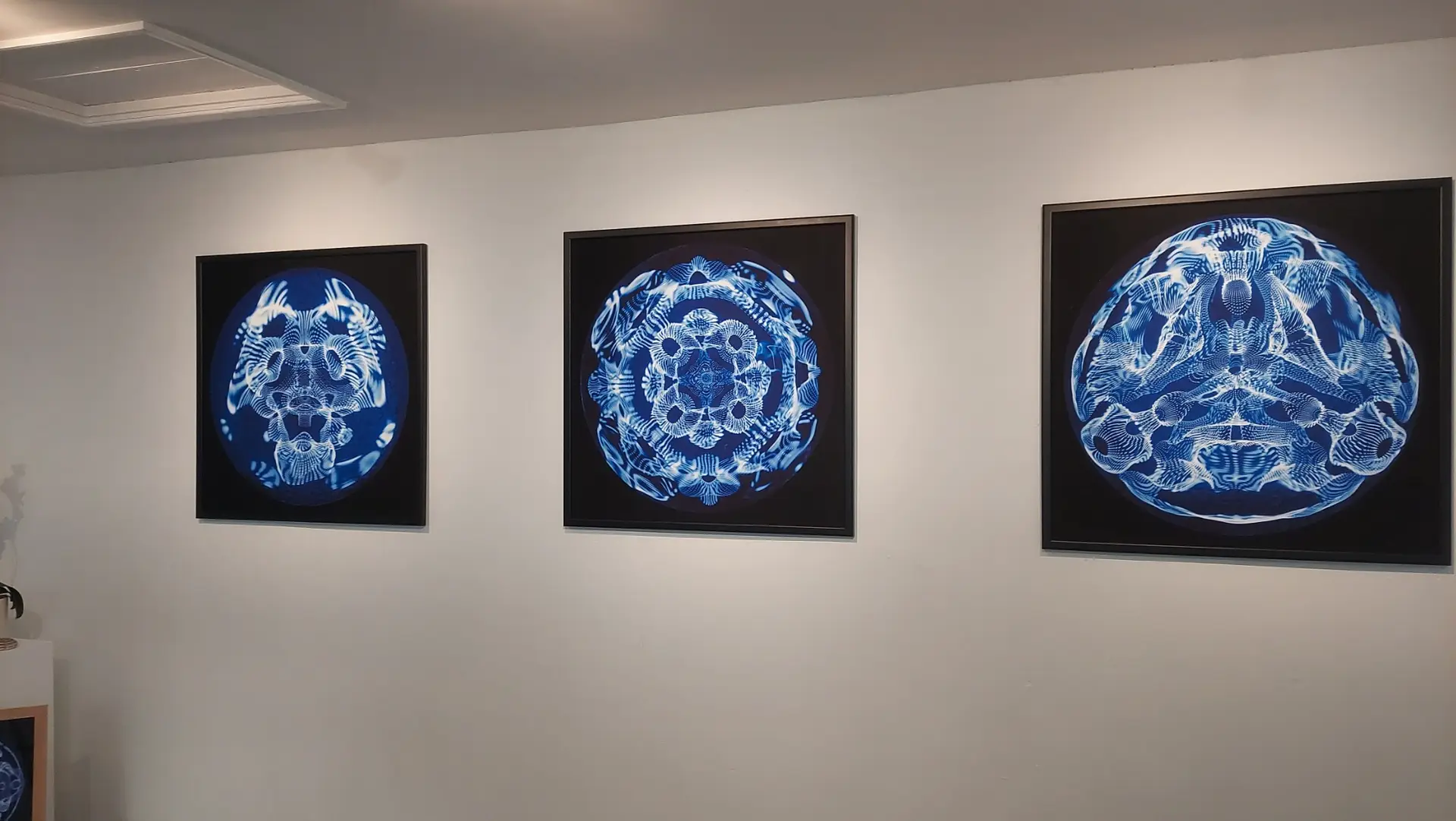 Cymatics Art Show – Harmonics Of Nature